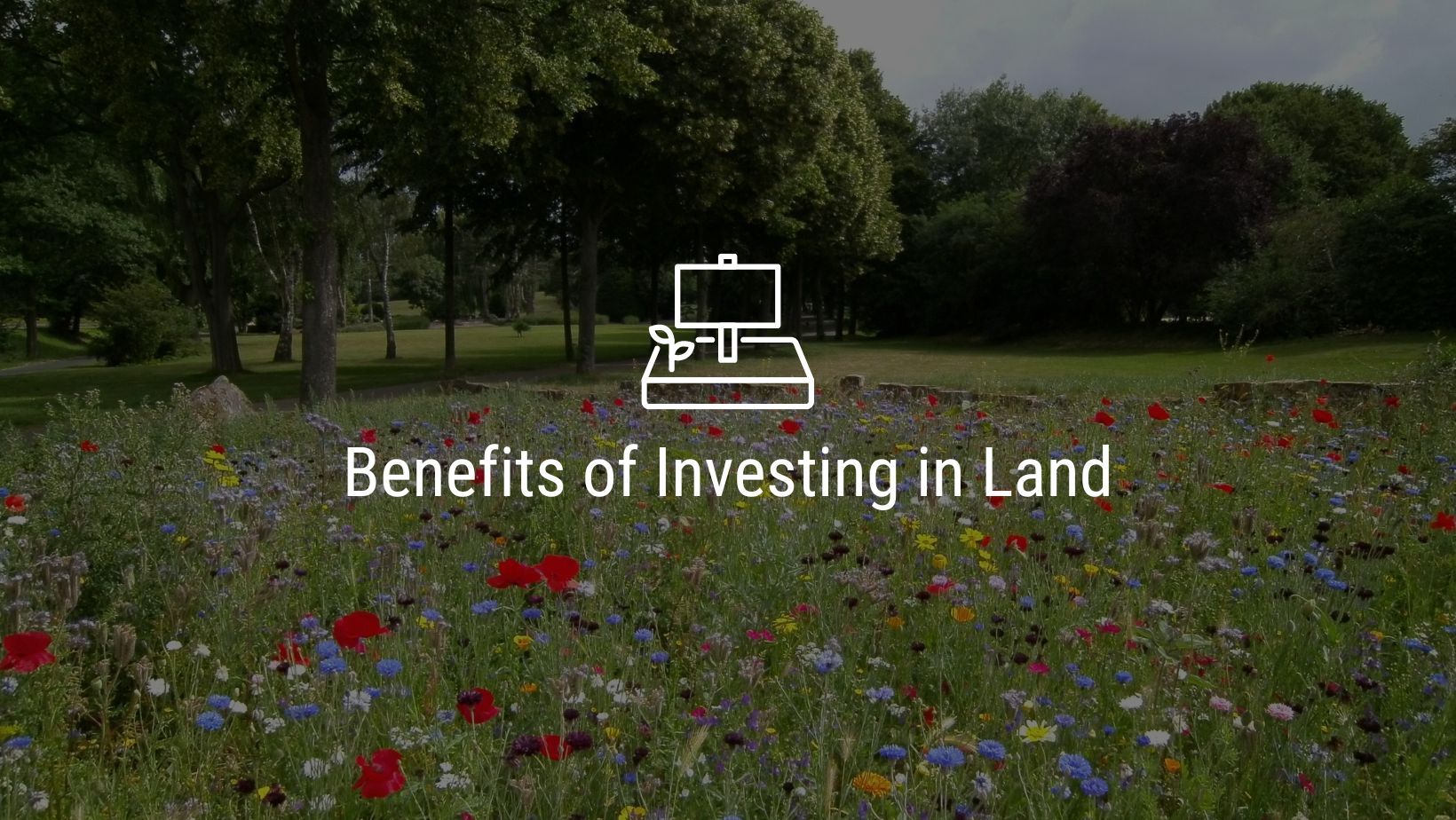 Benefits of Investing in Land - Land Investment Blog