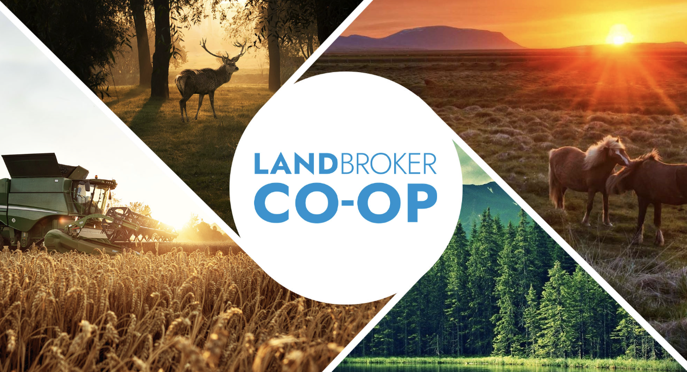 Affordable Advertising: How the Co-op Keeps Your Costs Low - Land ...